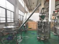 China VFFS Bagger Bean Dry Powder Packing Machine 304SS 316SS for sale