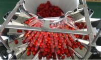 China Food Snacks Semi Automatic Packing Machine 304SS With Multihead Weigher for sale
