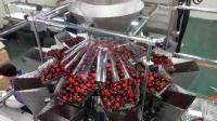 China Food Snacks Semi Automatic Packing Machine 304SS With Multihead Weigher for sale