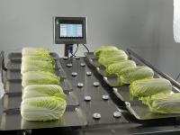 China Manual Desk Top 500g 1Kg Weigher Machine For Fruit Vegetable Meat Fish for sale