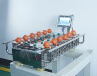China Manual Desk Top 500g 1Kg Weigher Machine For Fruit Vegetable Meat Fish for sale