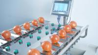 China 250g 500g 1000g Manual Packaging Machine Vegetables Fruits Weighing for sale