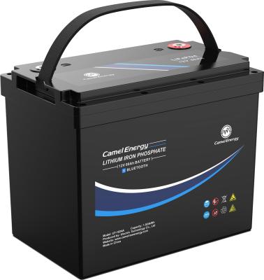 China 12.8V LFP Battery  Lithium Ion Phosphate 80ah Lithium Battery 1024Wh for sale