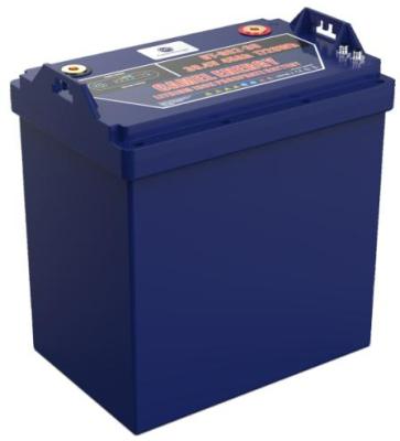China Bluetooth  Rs485 Golf Cart Battery  Iron Phosphate 45ah Lithium Battery for sale