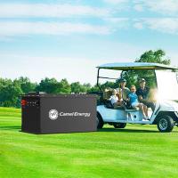 China 105Ah Golf Cart Battery 48V 43.5kg Li Iron Phosphate Battery for sale