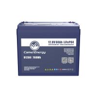 China 12.8V 60Ah Marine LiFePO4 Battery with Bluetooth BMS | IP67 Waterproof Deep Cycle Lithium Boat Battery for sale