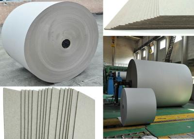 China 670gsm Grey Paper Roll for Printing Industry Bottled Water Plate Stationery Boxes for sale