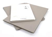 China Eco-Friendly Economic Grade AA 3mm Greyboard for Book Binding for sale