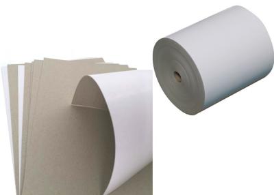 China C1S Coated Duplex Board Grey Back 250-450gsm in Rolls or Sheets for Packaging for sale