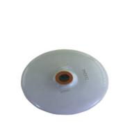 China Fuel Filter CLX-593 1117030-EE54R for QingLing 700P FTR Country 6 White for sale