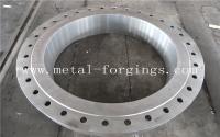 China Stainless Steel X15CrNi25-21 1.4821 Forged Rings Flange Cylinder Finish Machining SA182- F310 for sale