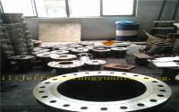 China Customized Stainless Steel Forged Flanges F316L F304L F51 F53 F60 for sale
