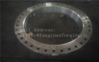 China SA-182 F91 Stainless Steel Metal Forgings Ball Valve Forging Flange for sale