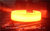 China Pressure Vessel Stainless Retain Forged Steel Rings Heat Treatment for sale