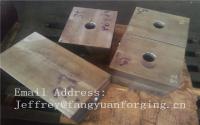 China SA182 F316 F304 Forged Steel Products Forgings Block Solution Milled And Drilling for sale