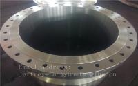 China F316H S31609 Stainless Steel Forging Forged Cylinder Seamless Pipe Flange for sale