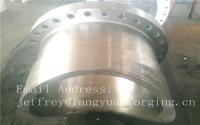 China SA350LF2 A105 F316L F304L Forged Steel Products Electrode Cutting Stainless Steel Forged Flange for sale