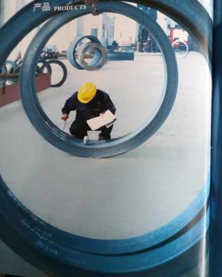 China Customized Size Forged Steel Flanges , Round Die Metal Forged Ring for sale