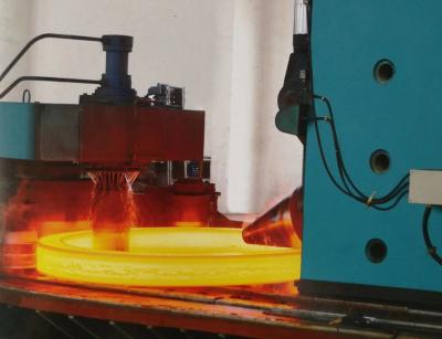 China SGS Petrochemical  F316Ti Forged Steel Rings Seamless Weldable for sale