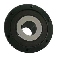 China Alternative TSUBAKI cam clutch BS220 backstopping clutch BS series for sale