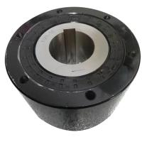 China alternative TSUBAKI high quality R&B brand BS250 one way cam clutch for sale