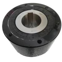 China alternative TSUBAKI high quality   china made  cam clutch BS270 backstopping clutch for sale