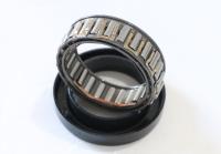 China one way sprag cage Freewheels  BWX132909A assembly with sprags and double cages for sale
