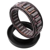 China one way sprag cage Freewheels  BWX132909A assembly with sprags and double cages for sale