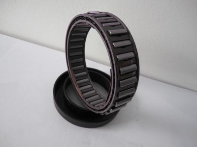 China one way sprag cage Freewheels  BWX1310445 assembly with sprags and double cages for sale