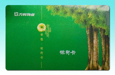 China S50+TK4100 chip Composite Card /  S50+EM4102 chip Dual frequency Card for sale