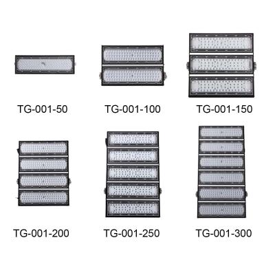 China Heavy Duty Aluminum LED Flood Light 100W 150W 200W 250W IP65 DOB Drive AC 85-265V for sale