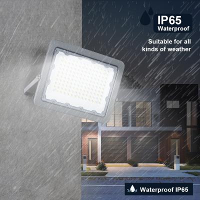 China 100W LED Flood Light IP65 Outdoor Garden 6500K High Brightness 13000lm AC85-265V for sale
