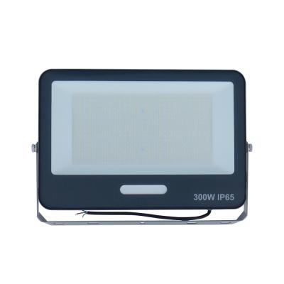China KCD Motion Sensor Outdoor Explosion Proof LED Flood Light 100W Smart Marine Garden Floodlight for sale