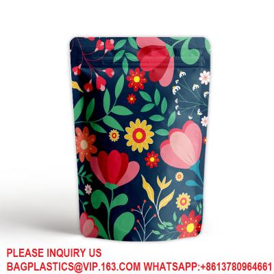 China Custom Zipper Stand Up Pouch Bag Heat Sealable Zip Lock Food Packaging 12 Colors Print for sale