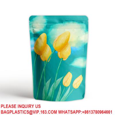 China Custom Resealable Food Pouch Bags with Zipper Lock, Heat Sealable Stand Up Pouches 12 Colors Printing for sale