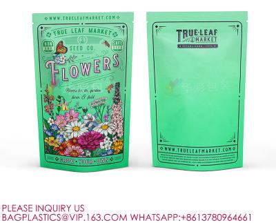 China Custom Biodegradable Stand Up Pouches 10-500 Micron Resealable Zipper Bags for sale