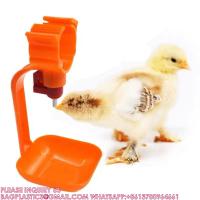 China Automatic Chicken Feeders Drinkers Nipple Drink Line Hanging Cups Poultry Drinking System for sale