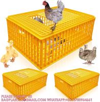 China Plastic Poultry Carrier Crate 96x57x27cm Chicken Transport Cage for Live Birds 50kg Load for sale