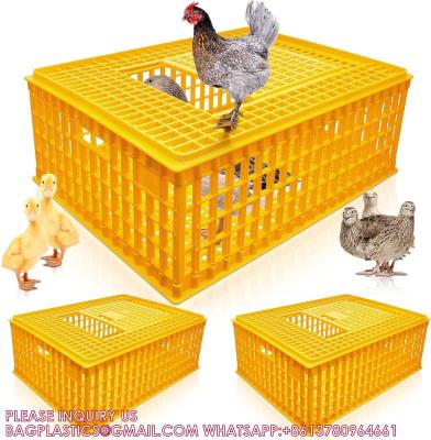 China Plastic Poultry Carrier Crate 96x57x27cm Chicken Transport Cage for Live Birds 50kg Load for sale