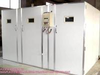 China Electric Or Solar Incubator  Automatic Egg Incubator  Chicken Incubators Hatching Eggs for sale
