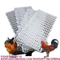 China PP Plastic Poultry Slats Flooring 1200x500x40mm for Adult and Baby Chicks for sale