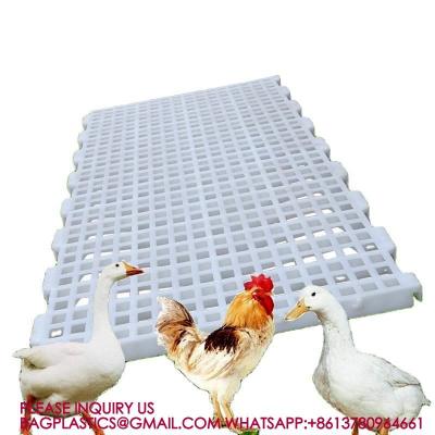China PP Plastic Poultry Slats Flooring 1200x500x40mm for Adult and Baby Chicks for sale