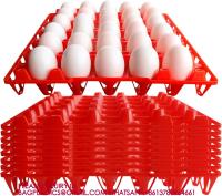 China Plastic Egg Tray 30 Egg Flats Stackable Egg Cartons 29.5x29.5x5 cm for Storage and Shipping for sale