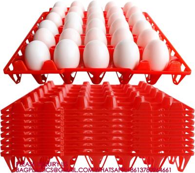 China Plastic Egg Tray 30 Egg Flats Stackable Egg Cartons 29.5x29.5x5 cm for Storage and Shipping for sale