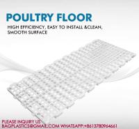 China PP Plastic Poultry Slat Flooring 1200x500x40mm 20x26mm Hole for Chicken Duck Farm for sale