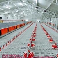 China 100% Pure PP Broiler Slatted Floor System 40mm Poultry Duck Slat Flooring UV Resistant for sale