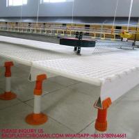 China 40mm PP Slatted Floor System for Poultry 1200x500mm 2.3kg per Piece for sale