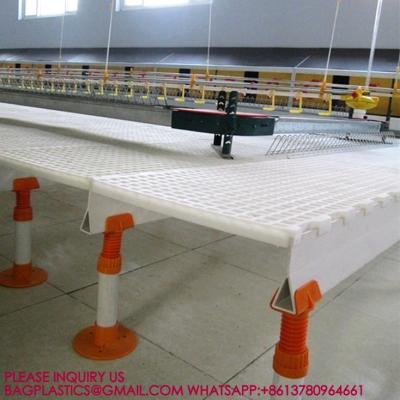 China 40mm PP Slatted Floor System for Poultry 1200x500mm 2.3kg per Piece for sale
