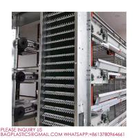 China Modern Design H Type Automatic Egg Poultry Farms Battery Layer Chicken Cages for sale