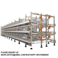 China Hot Dip Galvanized Poultry Farming Broiler Battery Rearing Cage H Type Automatic System for sale